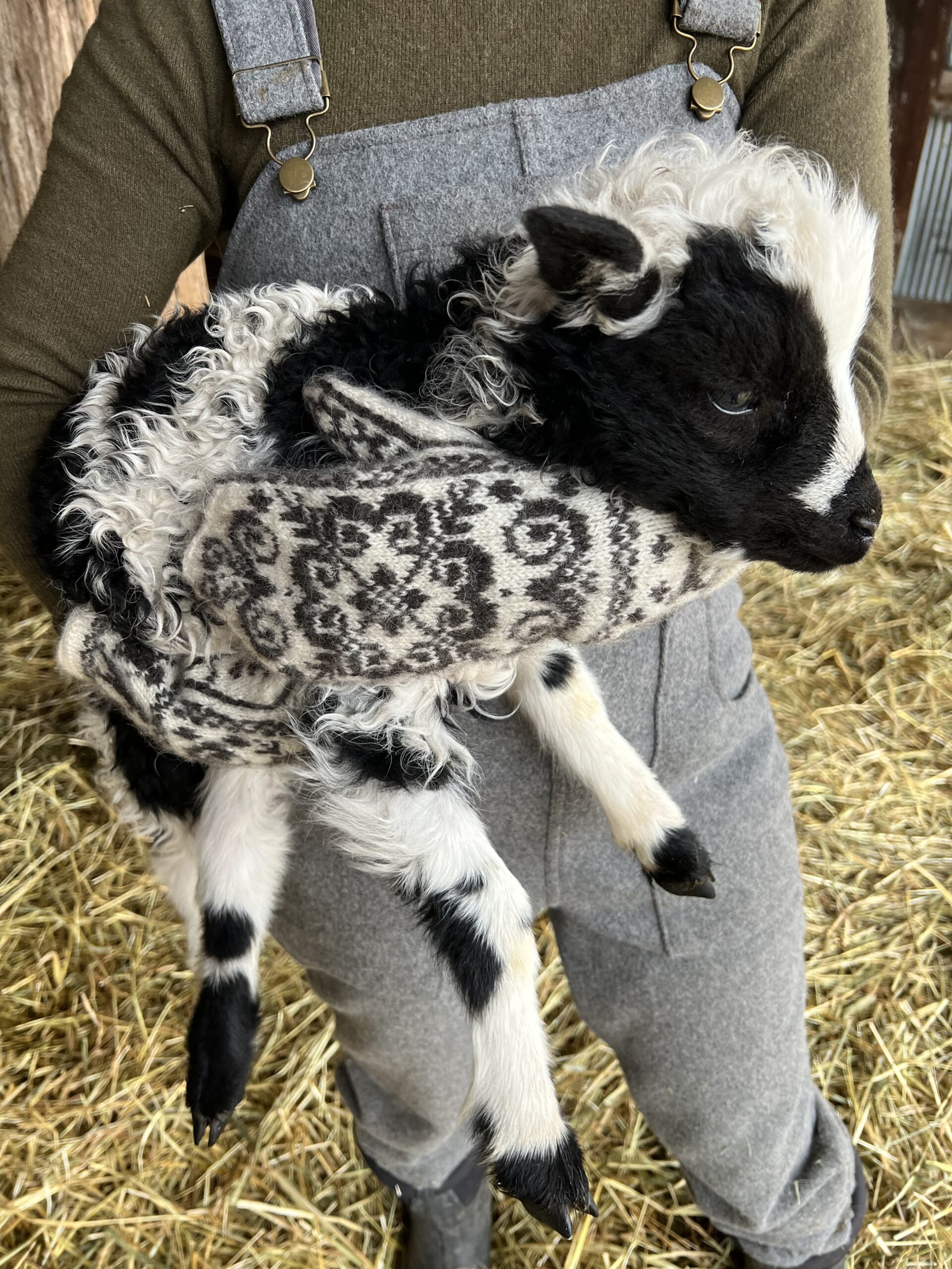 Get Bentz Farm - Mill City Farmers Market