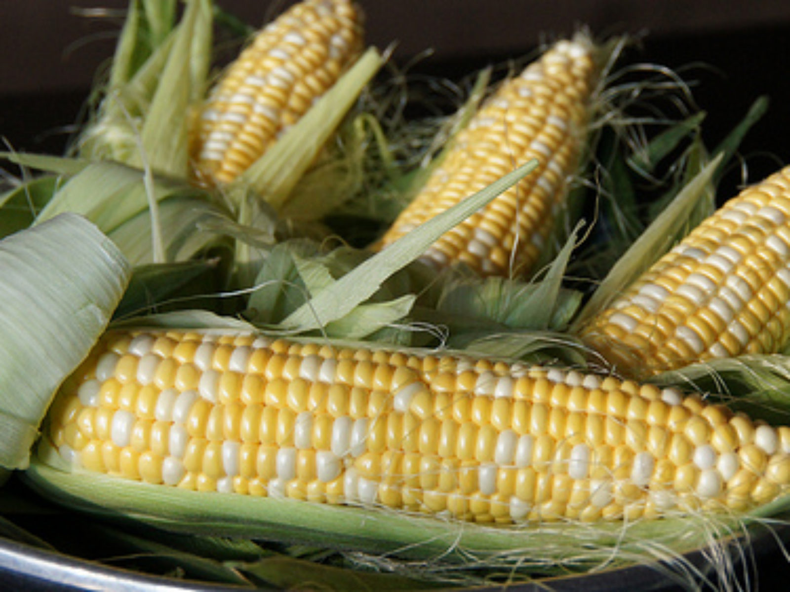 Sweet Corn - Mill City Farmers Market